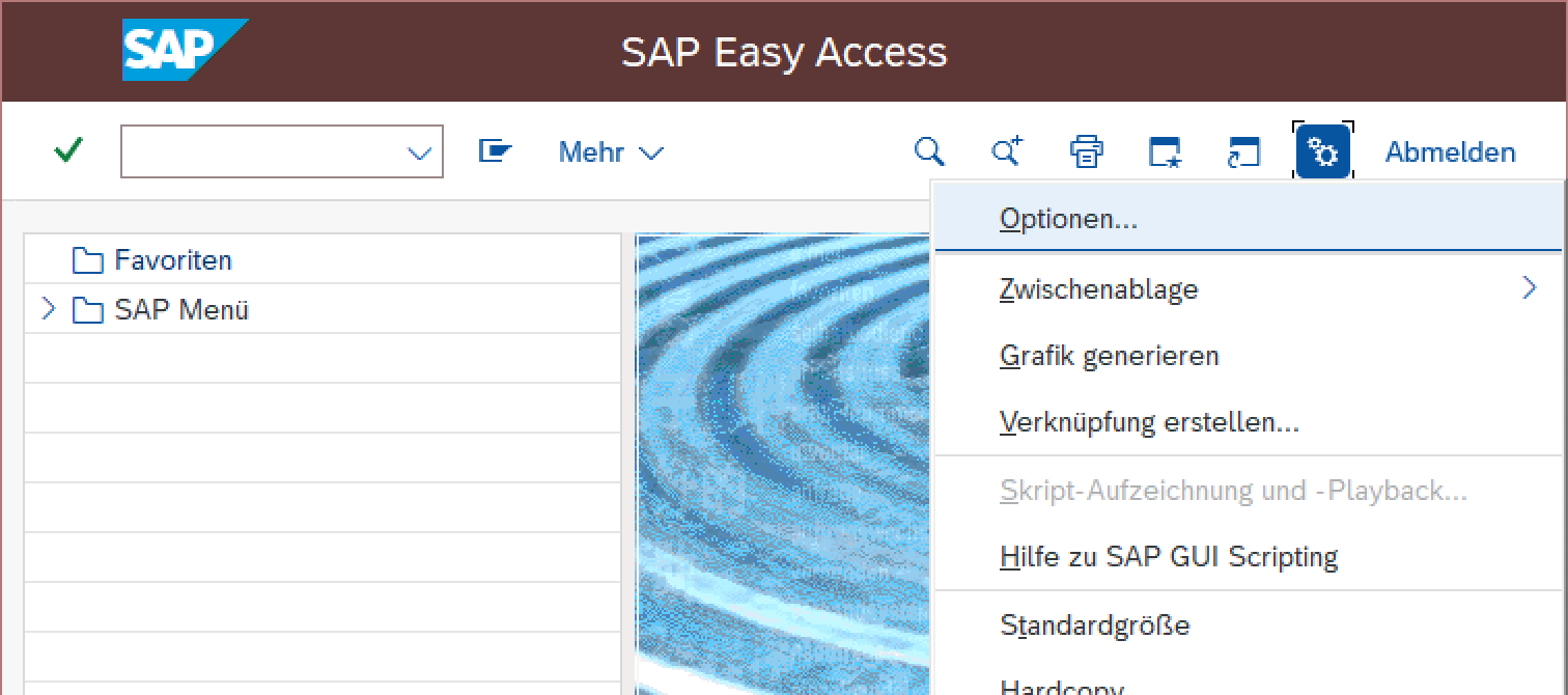 SAP GUI color customization - Tönjes Consulting GmbH SAP GUI color customization - Tönjes Consulting GmbH